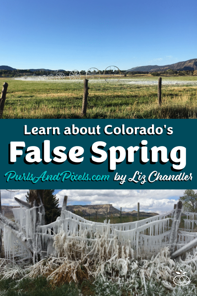 Colorado’s False Spring - PurlsAndPixels